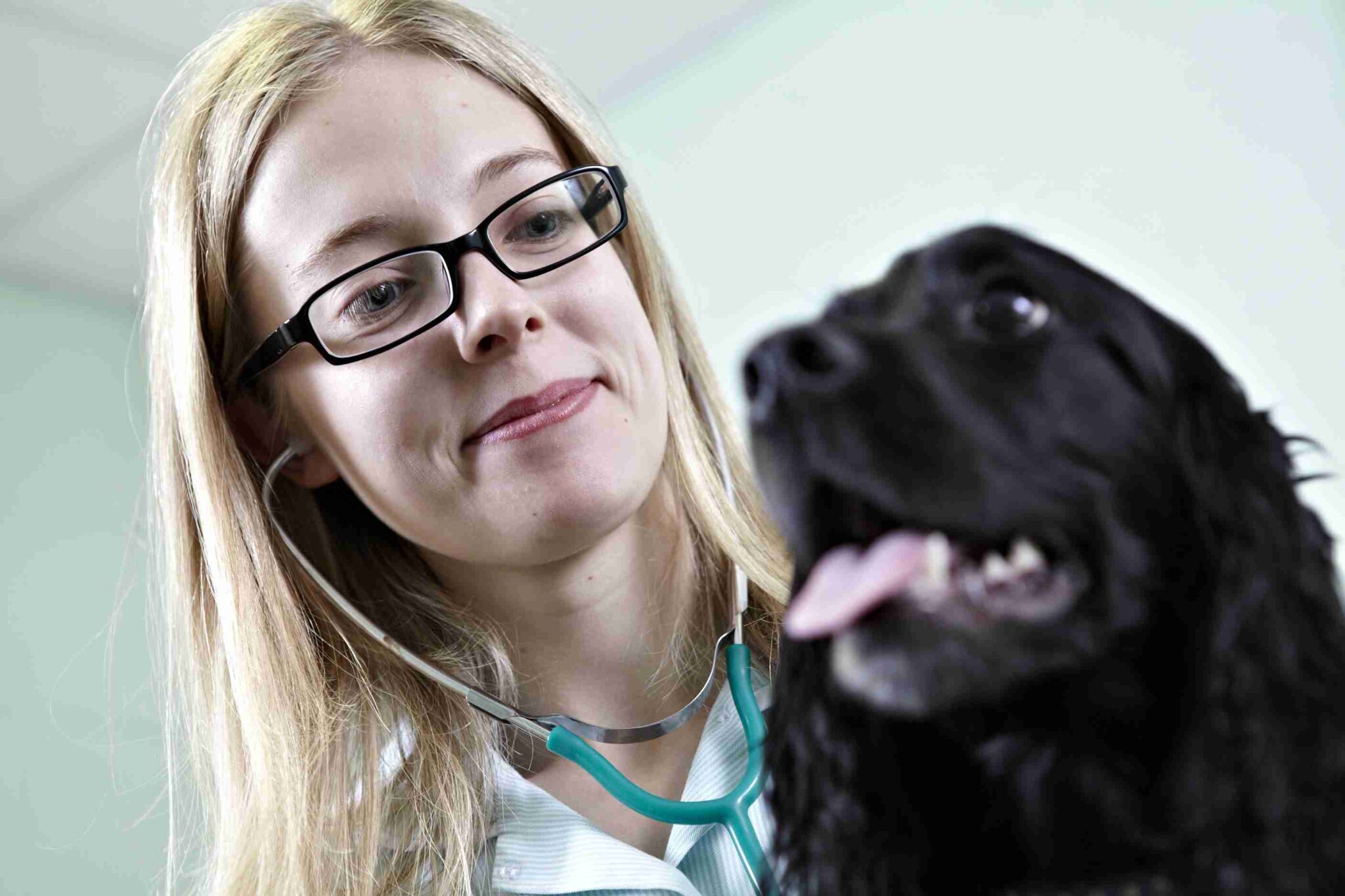 vet – Defra in the media