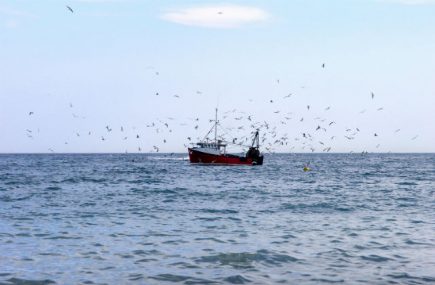 Michael Gove announces £10 million technology fund for the fishing ...