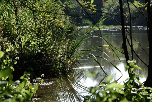 Managing and protecting our rivers and waterways – Defra in the media