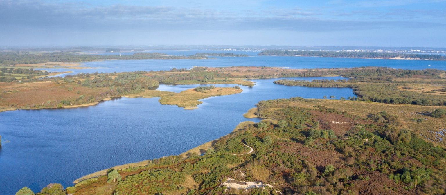 England-wide action for nature: Nature Recovery Network launches ...