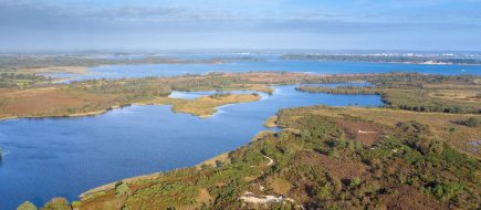 England-wide action for nature: Nature Recovery Network launches ...