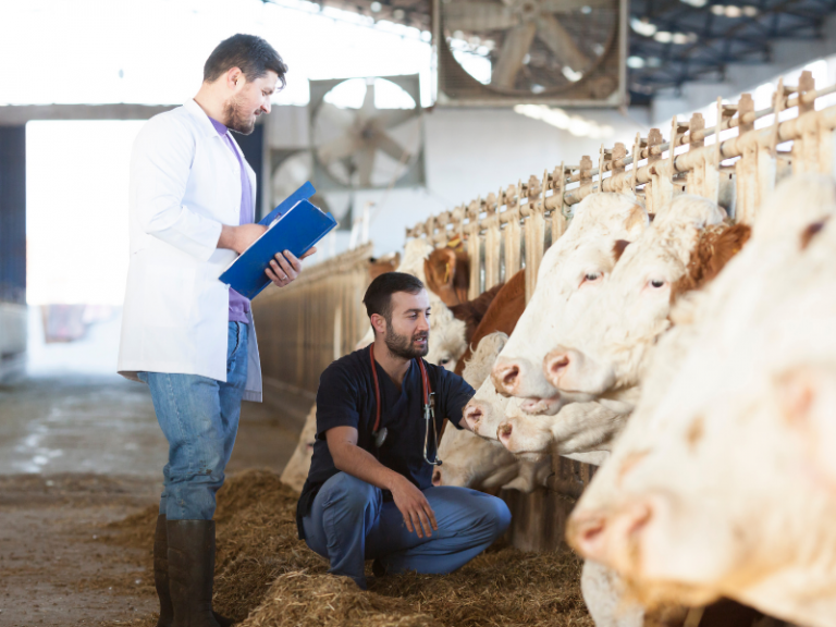 Exporting Products of Animal Origin to Northern Ireland and the ...