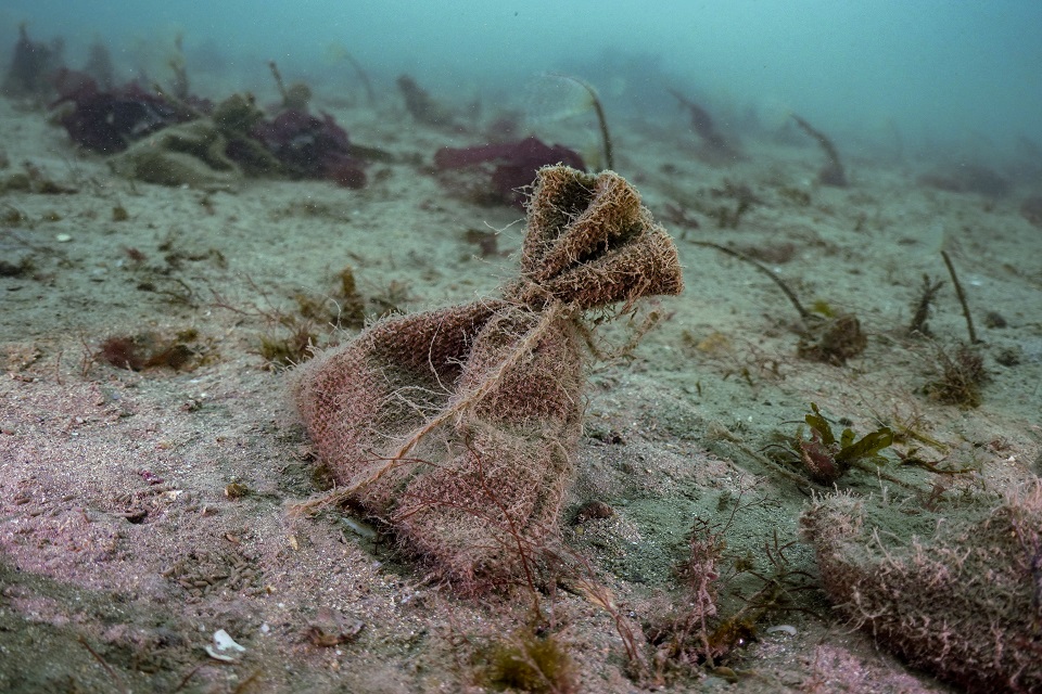 England’s largest ever seagrass restoration project reaches a new ...