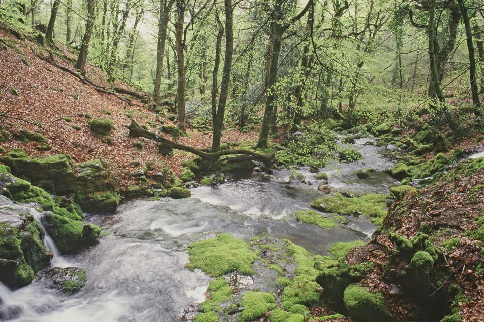 Coverage of OEP report on 25 Year Environment Plan – Defra in the media