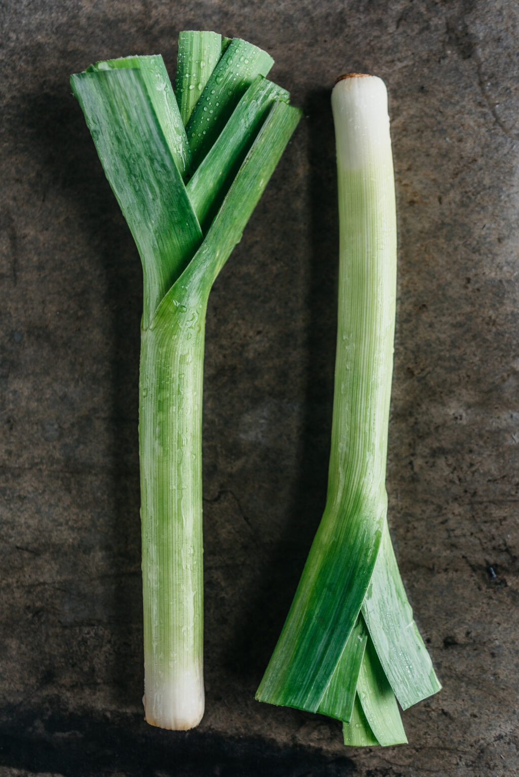 Welsh Leeks protection in the media – Defra in the media
