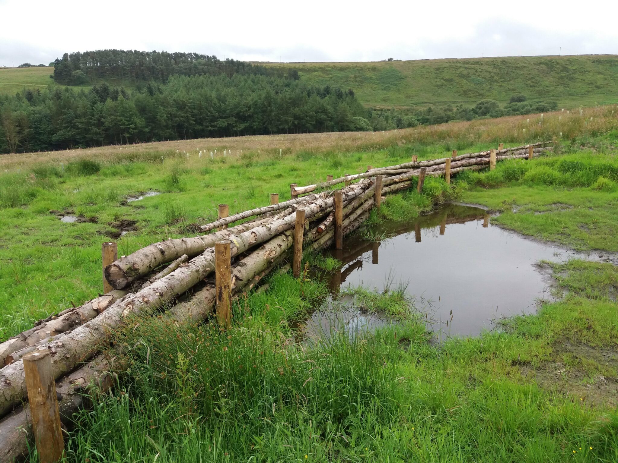 Guardian coverage of the Natural Flood Management Programme report ...